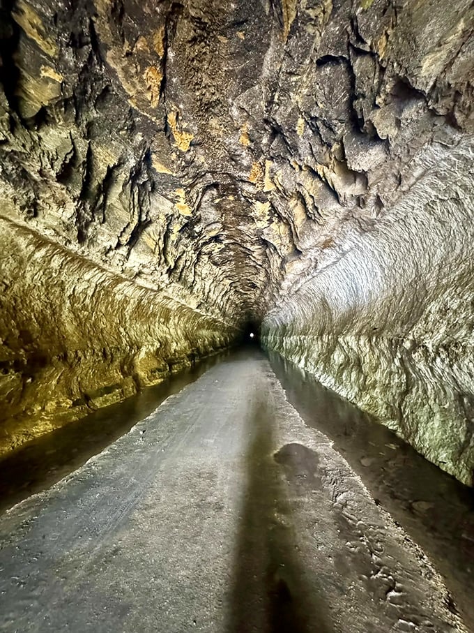 Inside the tunnel, limestone walls glisten with moisture &ndash; centuries of geological secrets revealed in the flashlight beam.