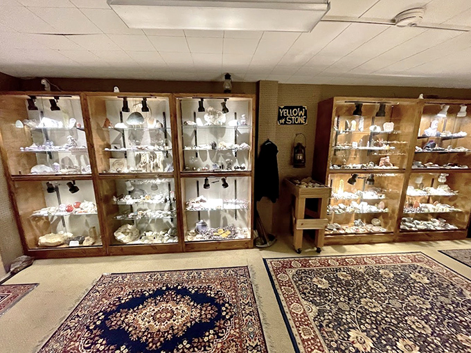 These illuminated wall cabinets transform ordinary minerals into extraordinary showpieces, each shelf telling a different chapter of Earth's story.