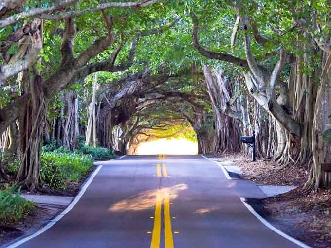 Some roads just connect Point A to Point B, but this one connects you to Old Florida's soul.