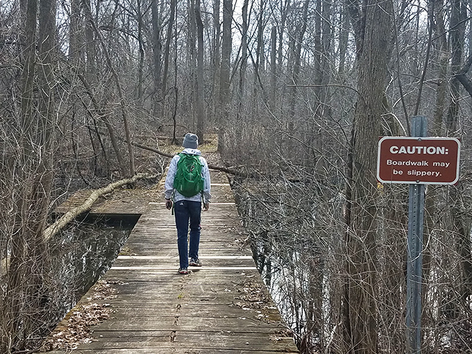 "Caution: Boardwalk may be slippery" is refuge-speak for "Adventure ahead!" These wooden pathways lead to wildlife viewing opportunities galore.