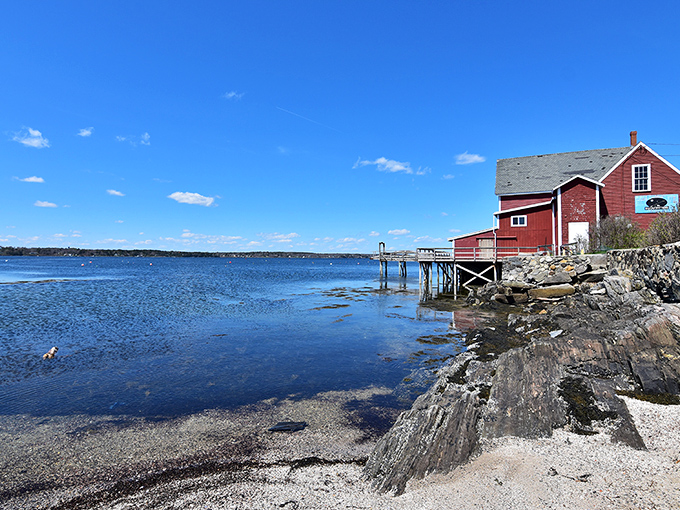 Classic red fishing shack perched on Maine's rocky shore, where blue waters meet the rugged coastline of Bailey Island.