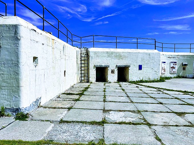 These military installations once protected Portland Harbor; now they protect fascinating history and make for great hide-and-seek spots.