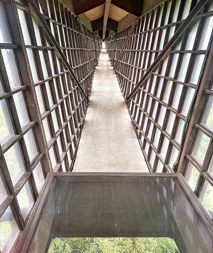 Look down if you dare &ndash; this glass floor panel reveals the dizzying drop below, turning butterflies in stomachs into full-fledged eagles.