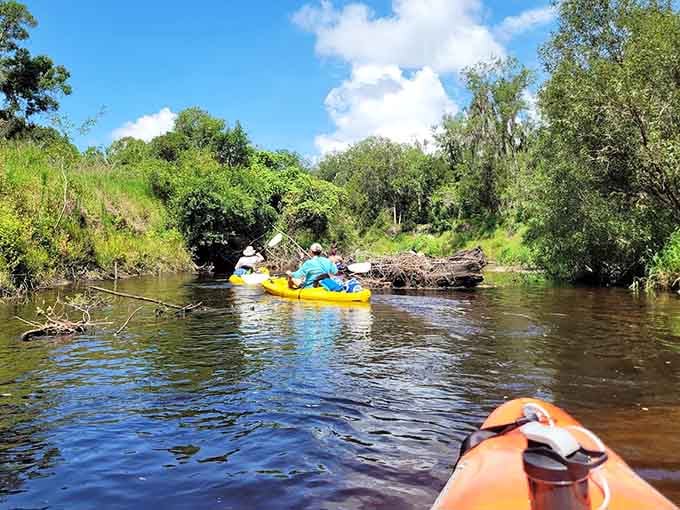 Kayakers glide down the blackwater river, discovering why this pristine waterway has captivated paddlers for generations.