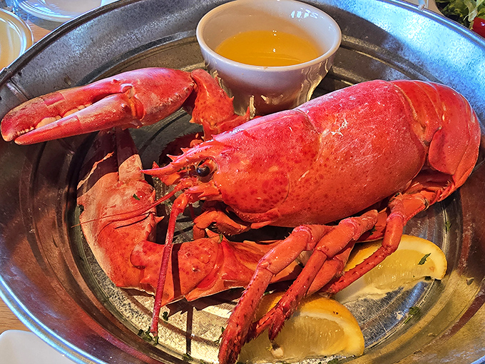 The king of Maine cuisine &ndash; a perfectly steamed lobster awaits your crack and dip adventure, with drawn butter standing by for the royal treatment.