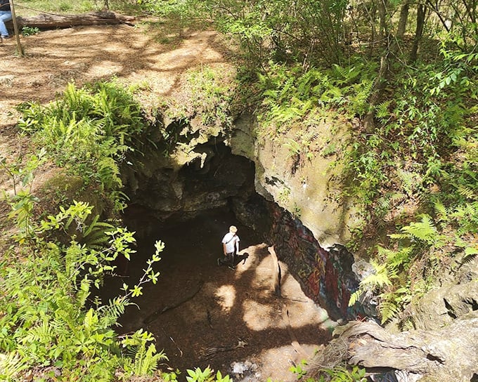 Bird's-eye perspective of a subterranean playground. This natural depression reveals multiple cave openings perfect for channeling your inner explorer.