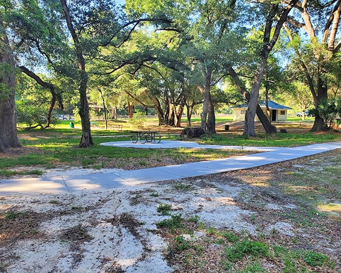 Picnic perfection: Oak-shaded rest areas offer a tranquil spot to refuel before continuing your journey through Florida's natural wonders.