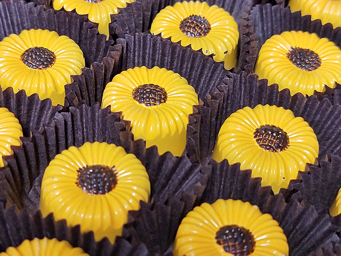 Sunflower pralines so realistic you'll check twice to make sure no one actually chocolate-dipped the garden, nature meets confection in perfect harmony.