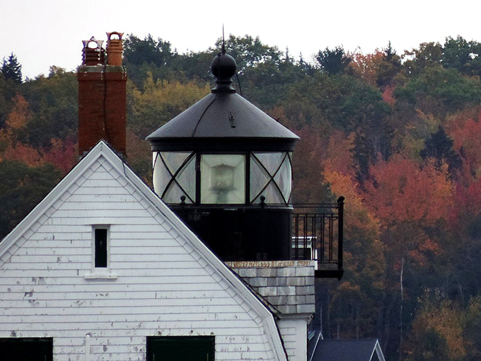 Fall brings a spectacular backdrop of autumn colors to the Rockland Breakwater experience, framing the lighthouse in seasonal splendor.