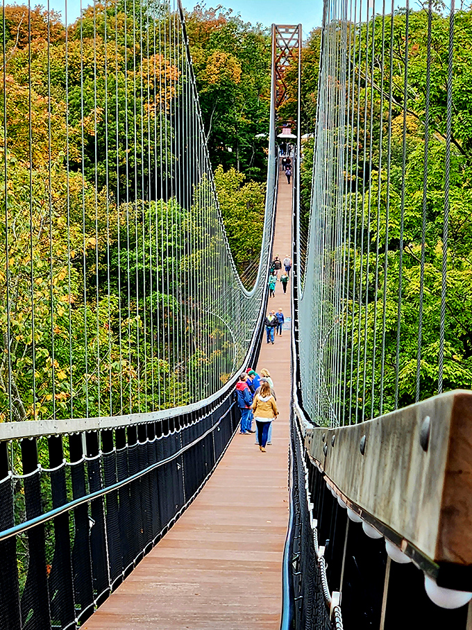 Fall foliage creates a tapestry of color beneath visitors' feet, proving Michigan's autumn splendor looks even better from above.