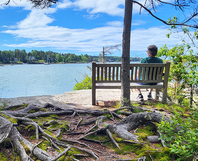 A moment of peaceful contemplation as a visitor soaks in panoramic views of Maine's coastal waters from a perfectly positioned bench.