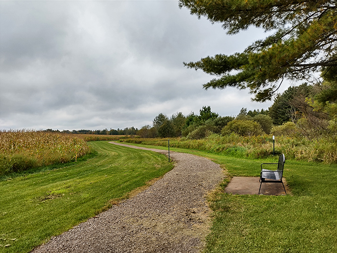 The gravel path leads to mathematical significance, proving that not all roads to greatness are paved with gold.