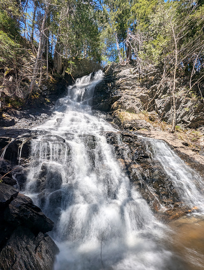 Dunn Falls plunges dramatically in winter, with portions frozen into delicate ice sculptures that transform the forest into a crystalline wonderland.