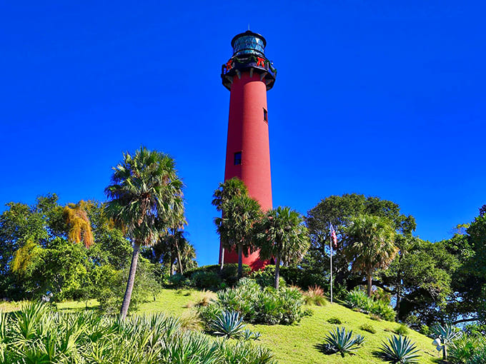 The Jupiter Inlet Lighthouse's red tower rises majestically above one of Florida's most beautiful natural settings.
