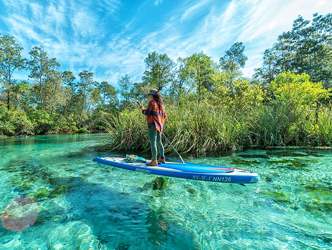 A paddleboarder glides across Weeki Wachee's impossibly clear waters, where you can float above an underwater world so transparent it seems like flying.