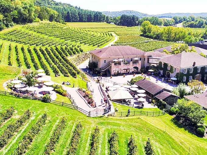 Hillside vineyards create a patchwork quilt of green at Wollersheim Winery, where rows of grapevines stretch toward the horizon like nature's own sheet music.