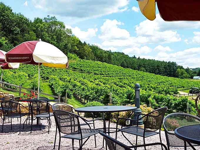 Rustic outdoor seating at Wollersheim Winery offers front-row views of sun-drenched vineyards, where each grape ripens with Wisconsin's unique terroir.