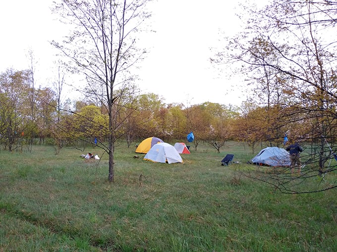 Canvas homes sprout like colorful mushrooms in this woodland clearing &ndash; temporary neighborhoods formed by adventure-seeking strangers.