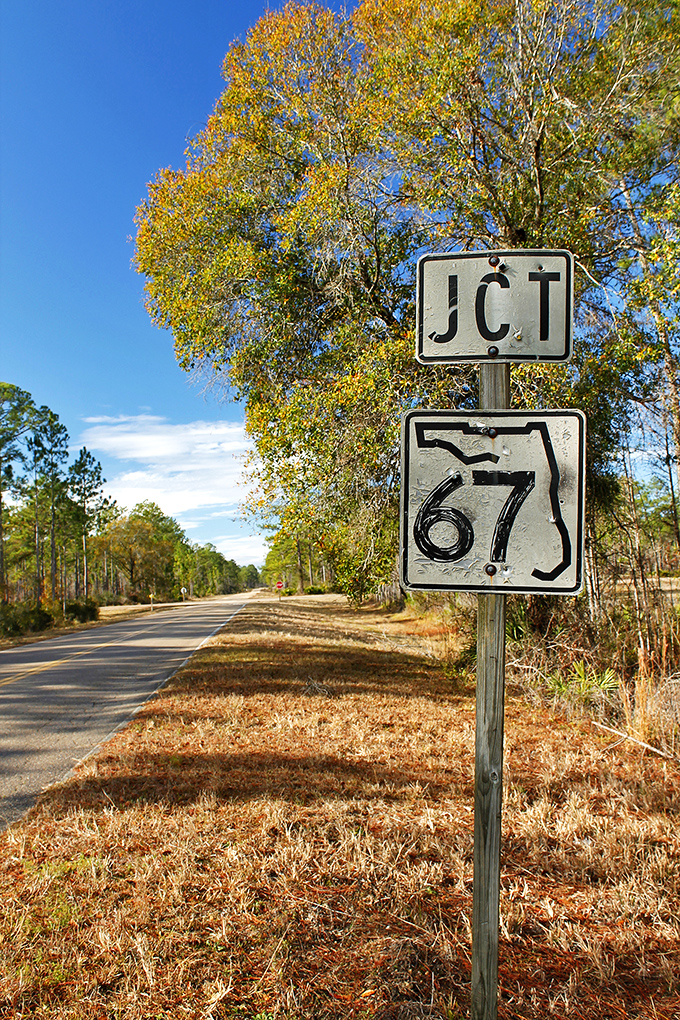 Florida's Highway 67 sign marks your journey through some of the state's most pristine natural landscapes.