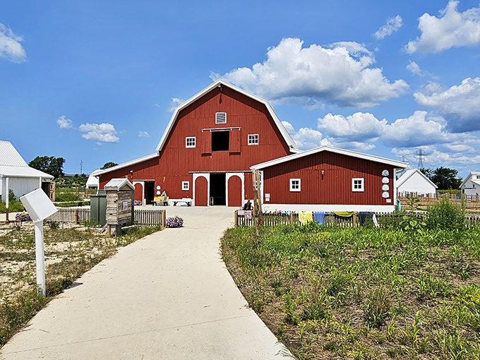 The Critter Barn's iconic red structure houses furry and feathered residents who serve as ambassadors for agricultural education and hands-on learning.