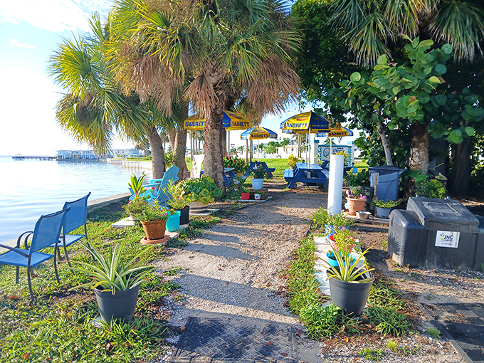 Dining Area: Paradise found: blue picnic tables, swaying palms, and lagoon views that turn lunch into an impromptu Florida vacation.