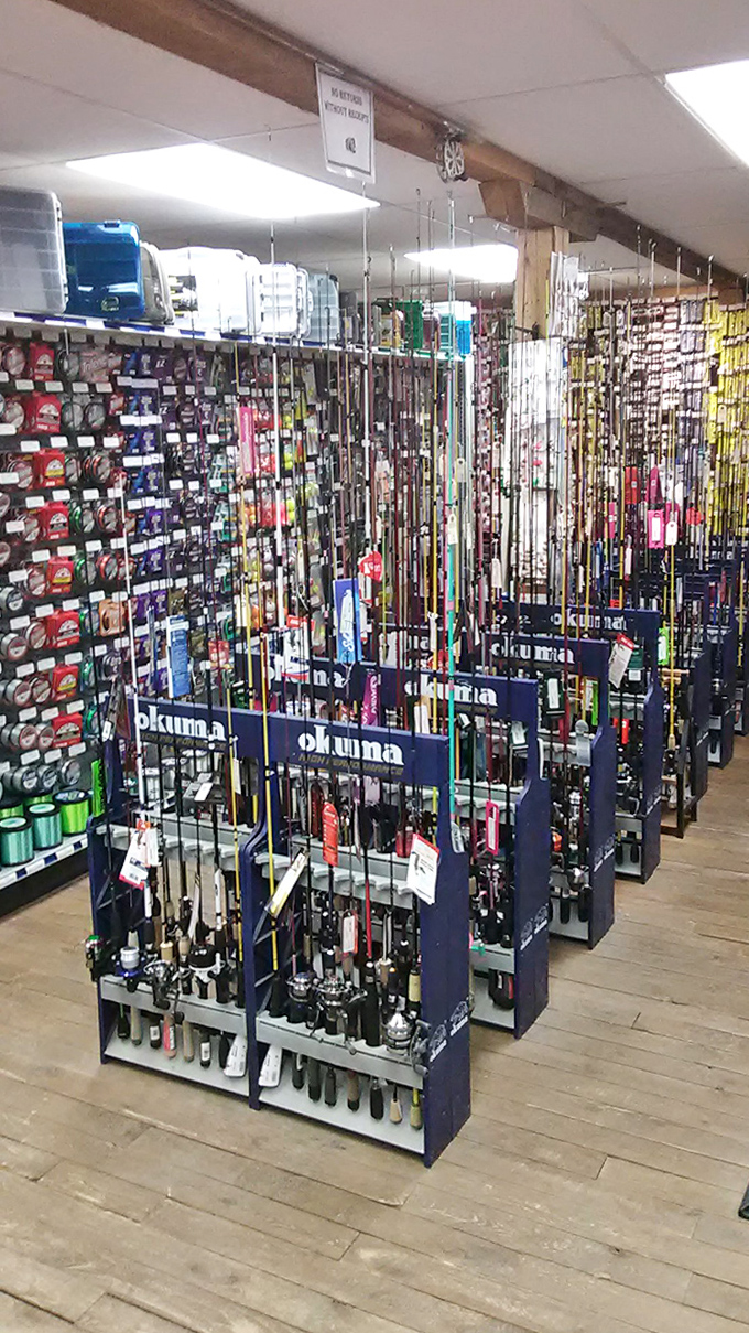 An angler's dream forest of fishing poles stands ready for action, promising adventures on Maine's countless lakes and streams.