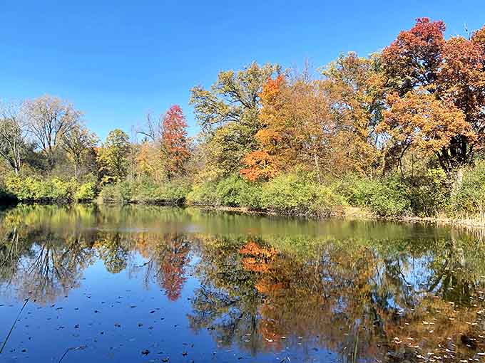 Fall's paintbrush transforms Innovation Hills into a masterpiece of color, with every shade of autumn reflected perfectly in the still waters.