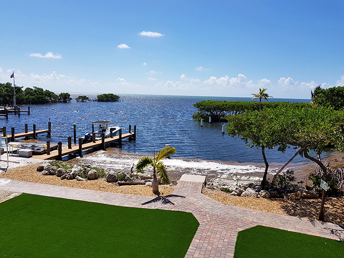 Waterfront living perfected: where wooden docks extend like welcoming arms into waters teeming with underwater treasures.