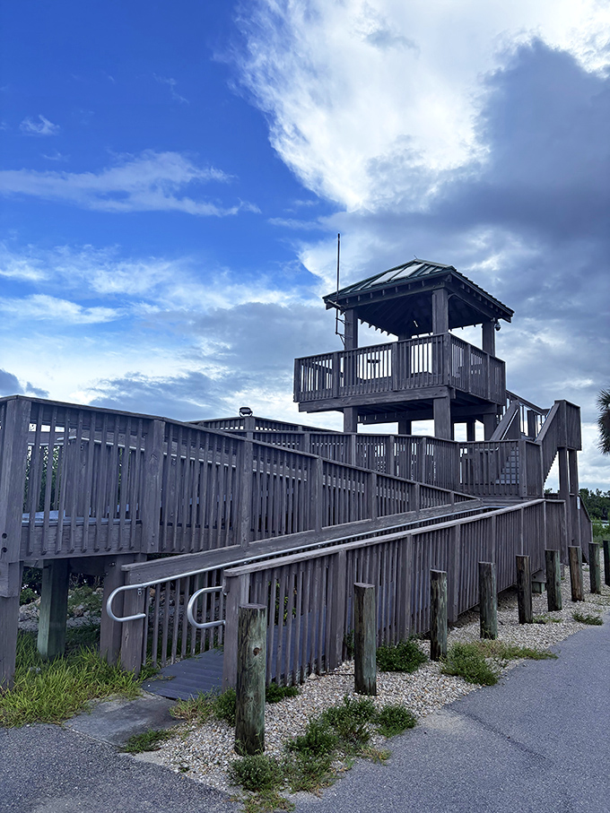 The observation tower stands sentinel over the refuge, offering panoramic views that make smartphone screens seem woefully inadequate.