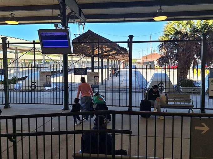 Palm trees and platform benches create the perfect Florida vignette as passengers await their chariot on steel wheels.