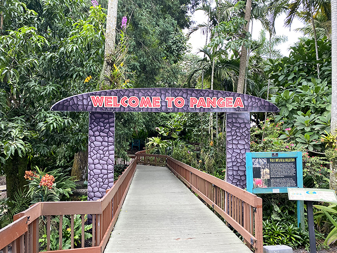 Welcome to Pangea &ndash; where prehistoric vibes and lush vegetation transport visitors back in time without the inconvenience of actual dinosaurs chasing you.