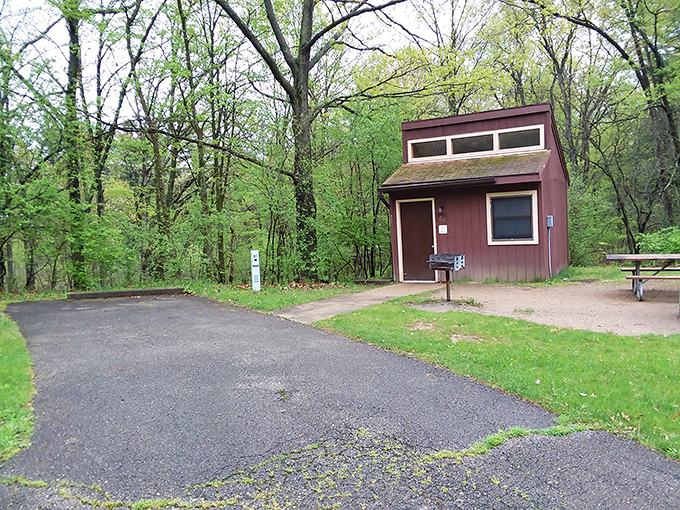 The rustic mini-cabin stands ready to welcome tired hikers, promising shelter without sacrificing that essential connection to nature.