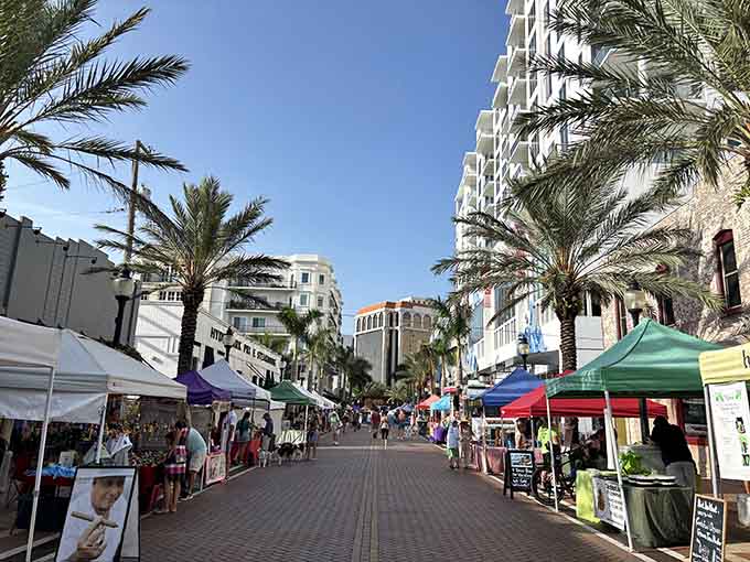 The Sarasota Farmers Market transforms downtown into a bustling celebration of local food, crafts, and community every Saturday morning.