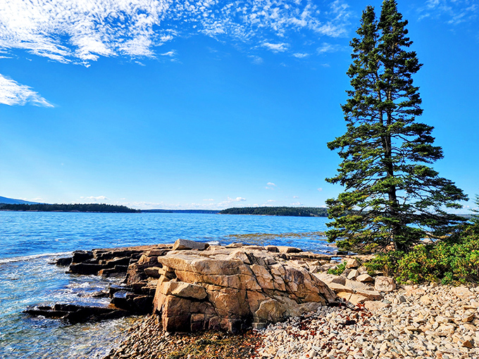 Schoodic Peninsula's dramatic coastline performs the original rock concert – waves crashing against granite in a timeless rhythm.