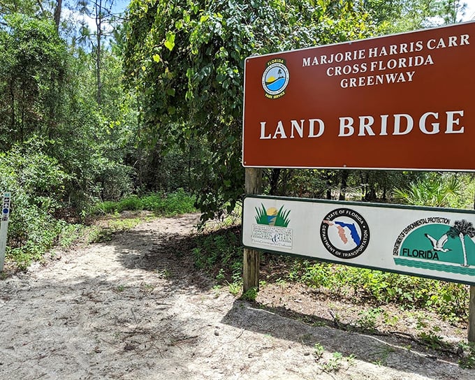 The original Land Bridge sign: This weathered marker has welcomed countless adventurers to one of Florida's most innovative conservation projects.