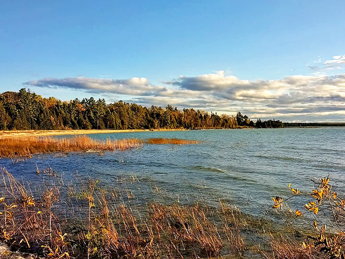 Autumn's golden light filters through shoreline vegetation, creating that magical transition time when day surrenders to night.