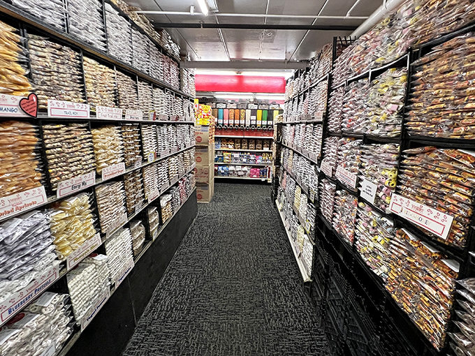 The candy corridor stretches seemingly to infinity, with meticulously organized shelves creating a sweet symmetry that's as visually satisfying as it is tempting.