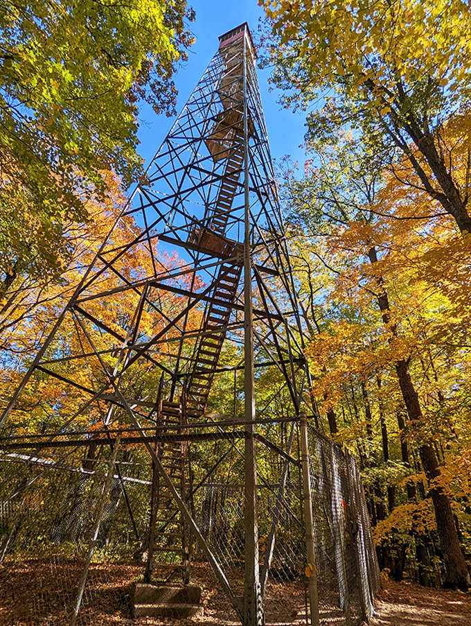 The fire tower reaches skyward like a metal giant playing hide-and-seek among autumn's finest foliage &ndash; a stairway to Minnesota's most spectacular views.