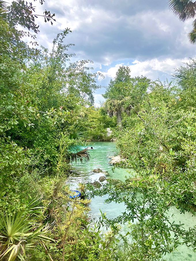 Summer's embrace: Emerald waters shimmer under a perfect blue sky, promising relief from Florida's famous heat.