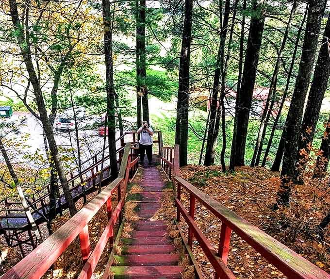Descending into nature's embrace, these rustic red stairs lead visitors through a canopy of Wisconsin's finest seasonal displays.