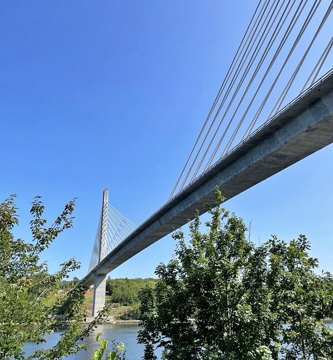 Looking up from below, the bridge's massive concrete tower reaches skyward, its cables spreading like a fan supporting the roadway.