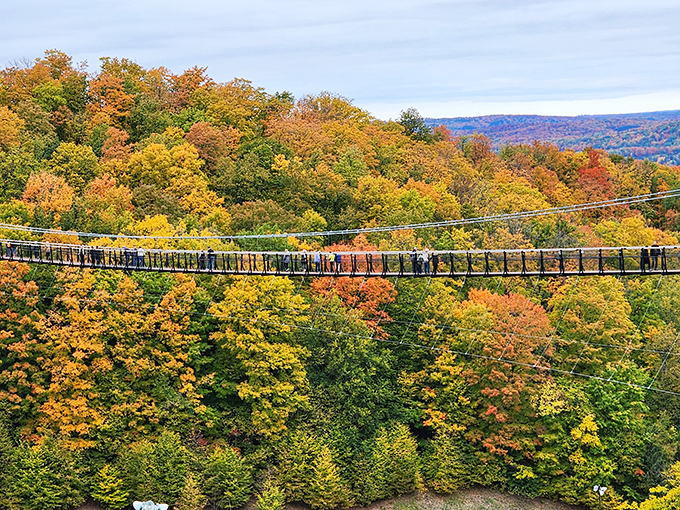 The bridge stretches toward infinity, its cables forming a hypnotic pattern against the backdrop of Michigan's pristine wilderness.