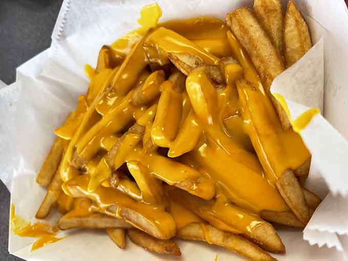 Cheese fries that don't apologize for being extra, because sometimes more is more and restraint is overrated, especially when melted cheese is involved.
