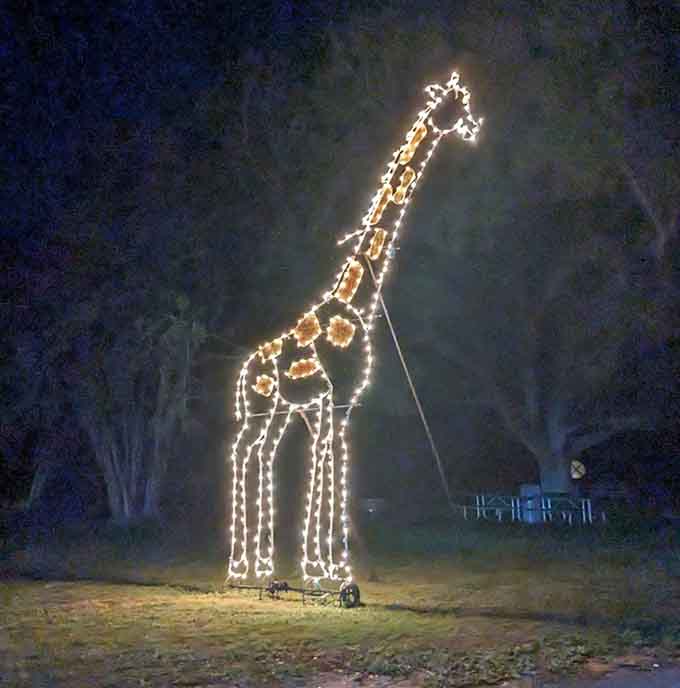 This giraffe stretches toward the sky with such grace that you almost forget it's made entirely of lights and holiday spirit.