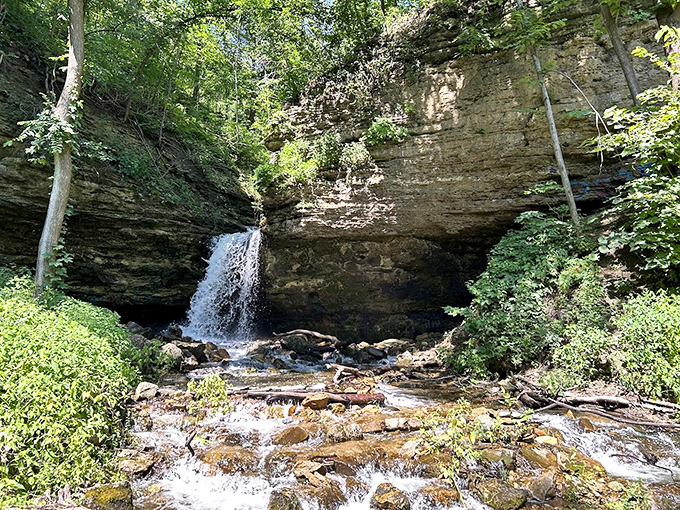 Nature's shower system on full display &ndash; this hidden waterfall creates its own microclimate of mist, moss, and magic.