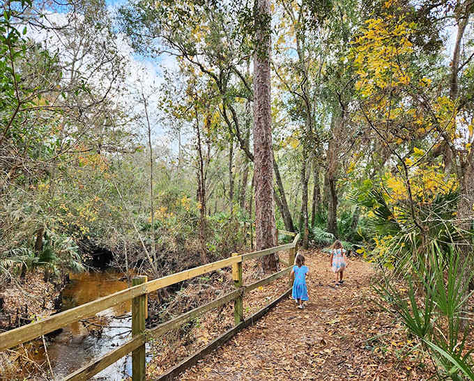 Little explorers discover big wonders along this family-friendly trail, where every turn offers a new chapter in nature's storybook.