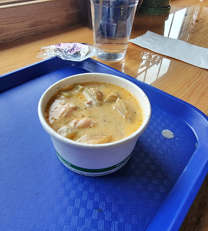 Steam rises from a bowl of salmon chowder, promising comfort in liquid form, each spoonful delivering chunks of fish in creamy broth.