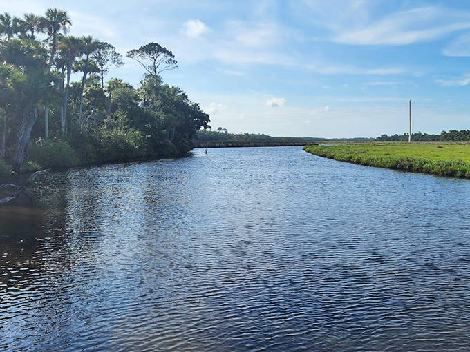 The road curves ahead like an invitation to adventure, with Spanish moss creating dappled sunlight patterns on the pavement.