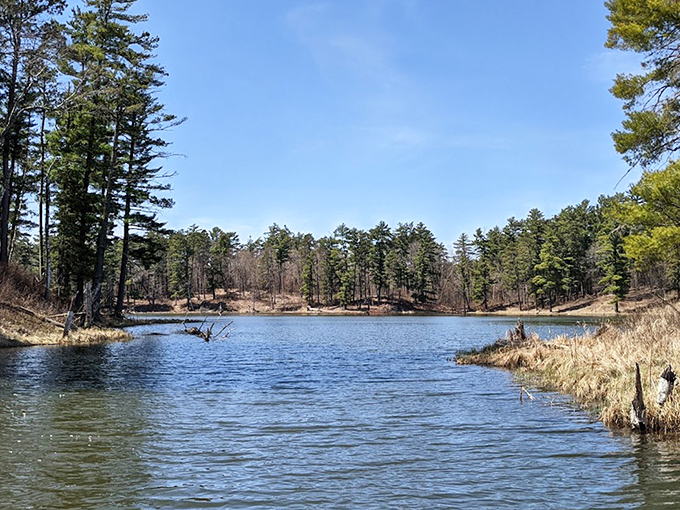 From this vantage point, Itasca unfolds like a living postcard – lakes, forests, and sky merging into one breathtaking panorama.