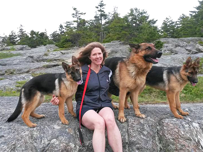 Three generations of breeding excellence surround their human companion, showcasing the impressive lineage behind these magnificent Maine trail guides.